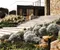 21 Best Silver Foliage Plants For Australian Gardens