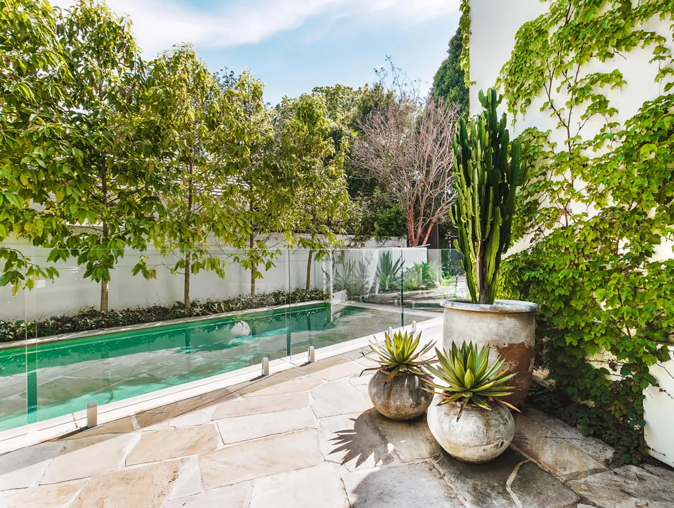 A lush and laid-back tropical garden in Sydney