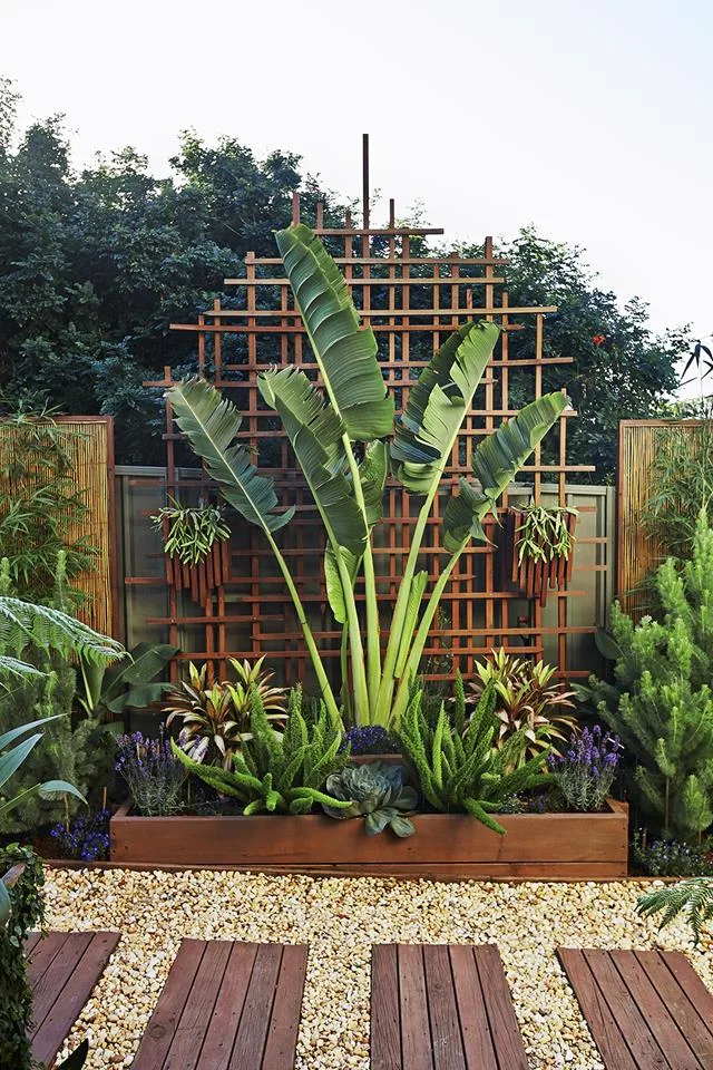 Be Transported By These 12 Australian Tropical Garden Ideas | Homes To Love