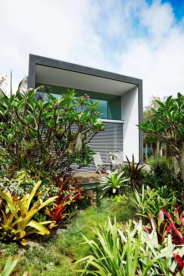 Be Transported By These 12 Australian Tropical Garden Ideas | Homes To Love