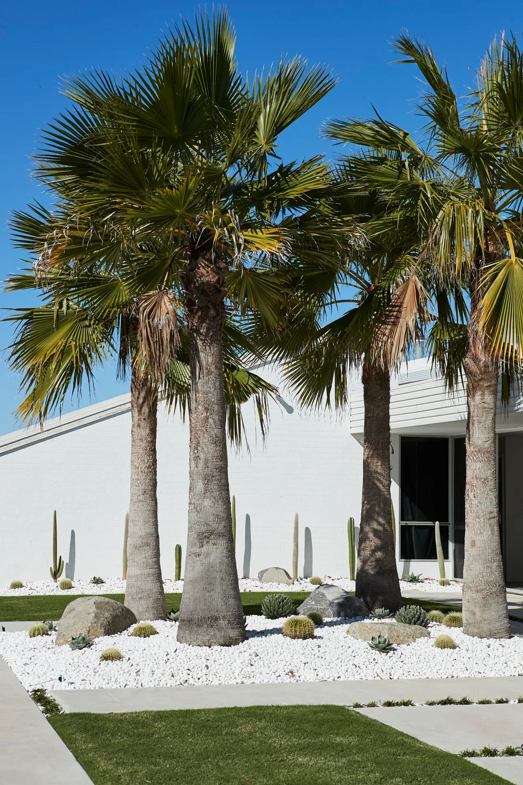 Inside the stylish home of Oracle Fox’s Amanda Shadforth