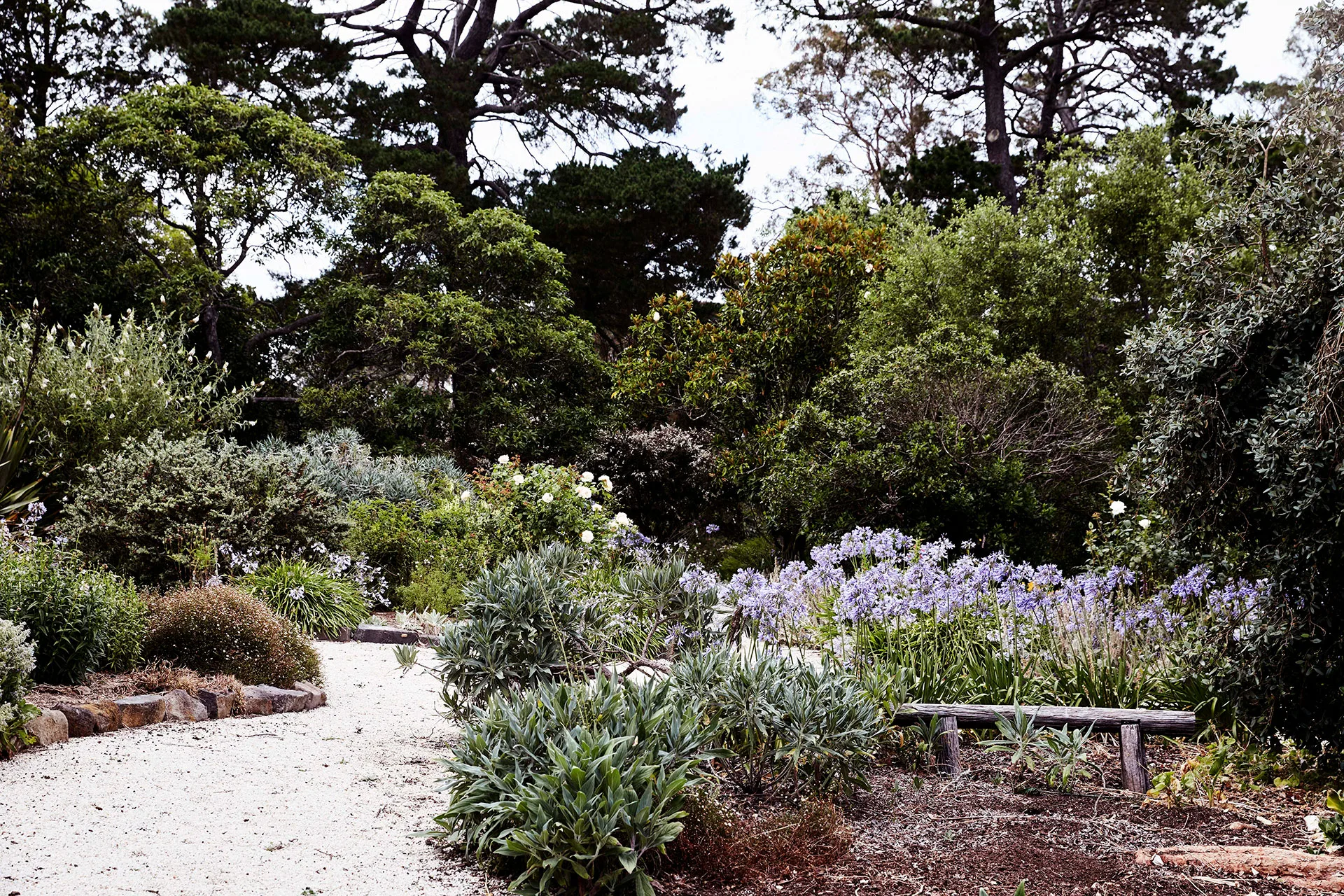 An Edna Walling designed cottage garden in Victoria