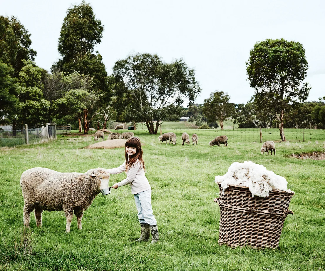 On the farm with an Australian merino wool clothing company