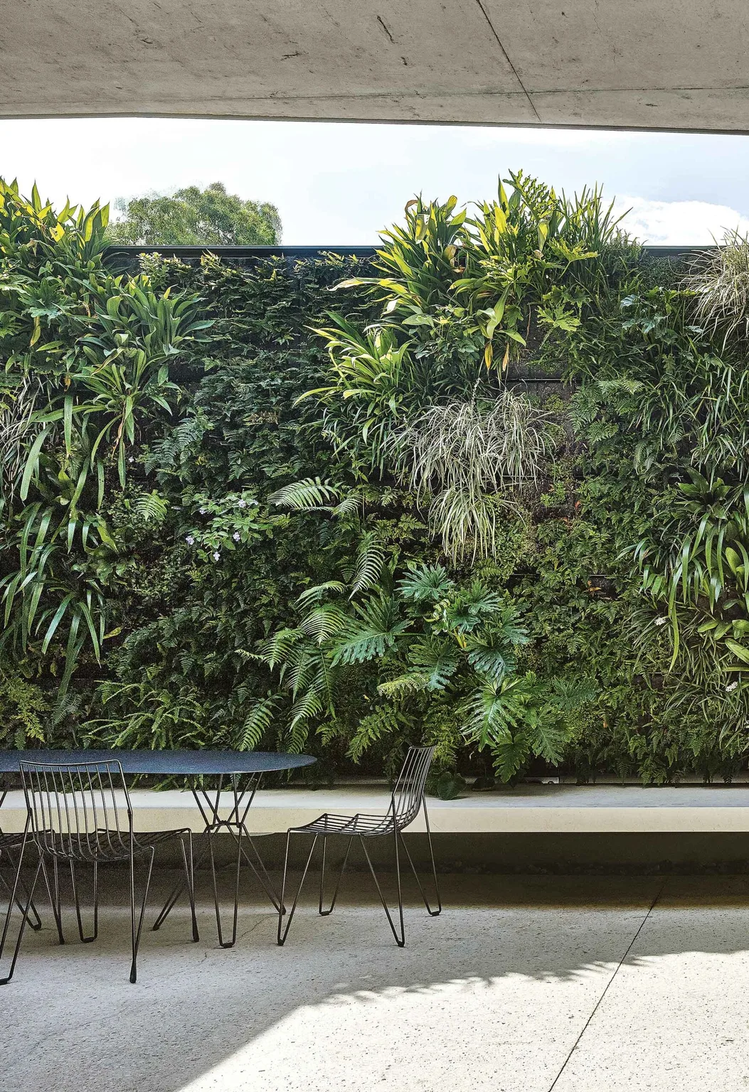 Plant Walls: 12 Inspiring Vertical Garden Ideas