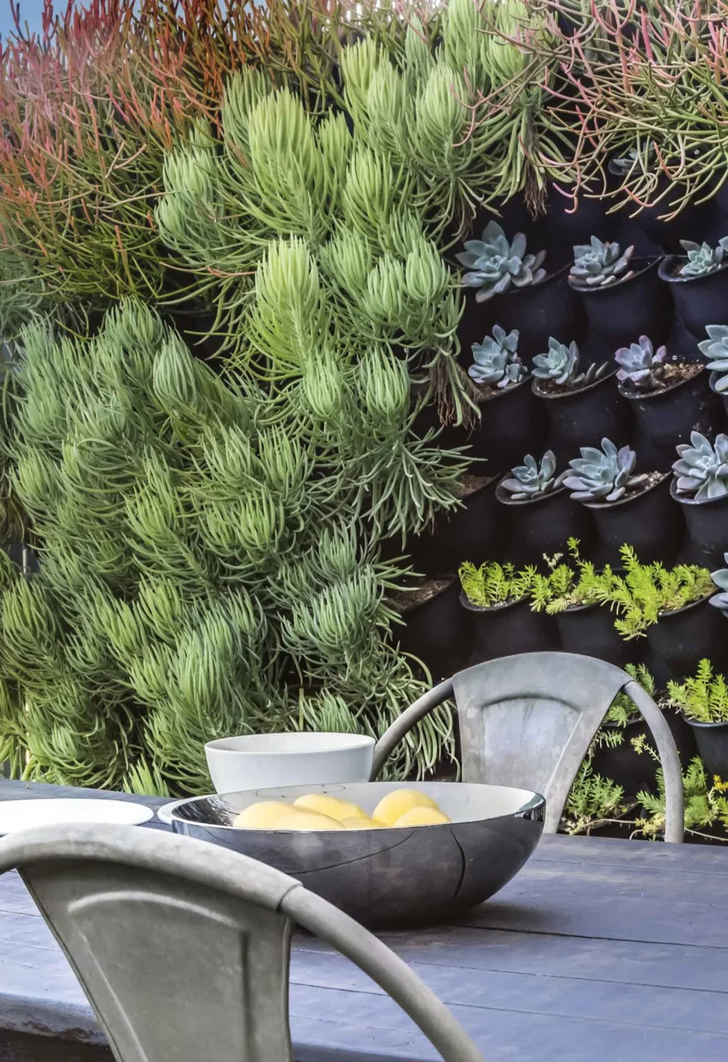 Plant Walls: 12 Inspiring Vertical Garden Ideas