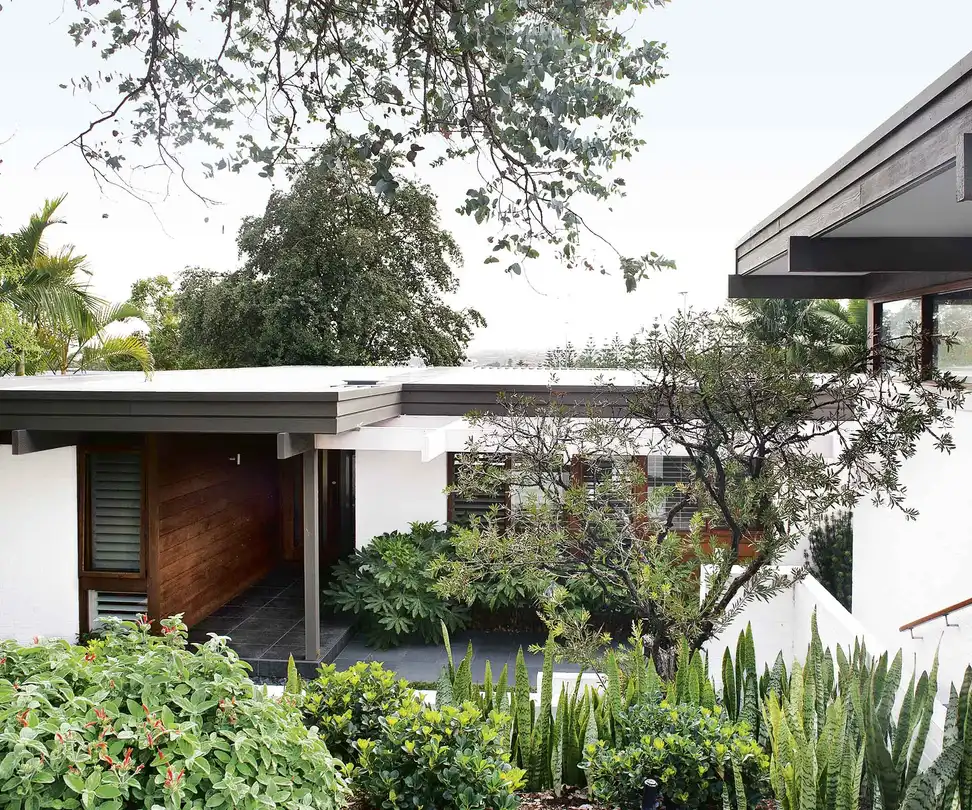 A Japanese-style garden with a mid-century modern touch
