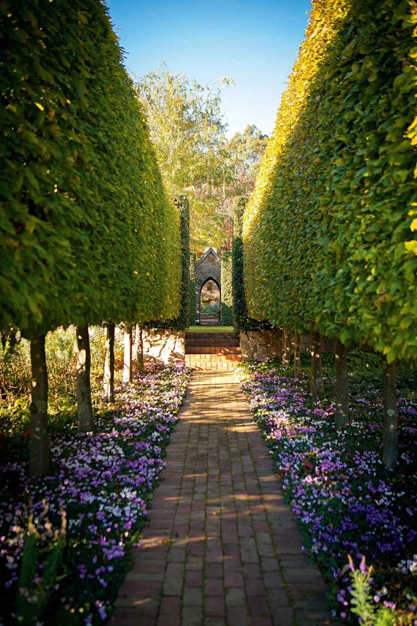 Sunnymeade: A Topiary and Hedge Garden Masterpiece in VIC | Homes To Love