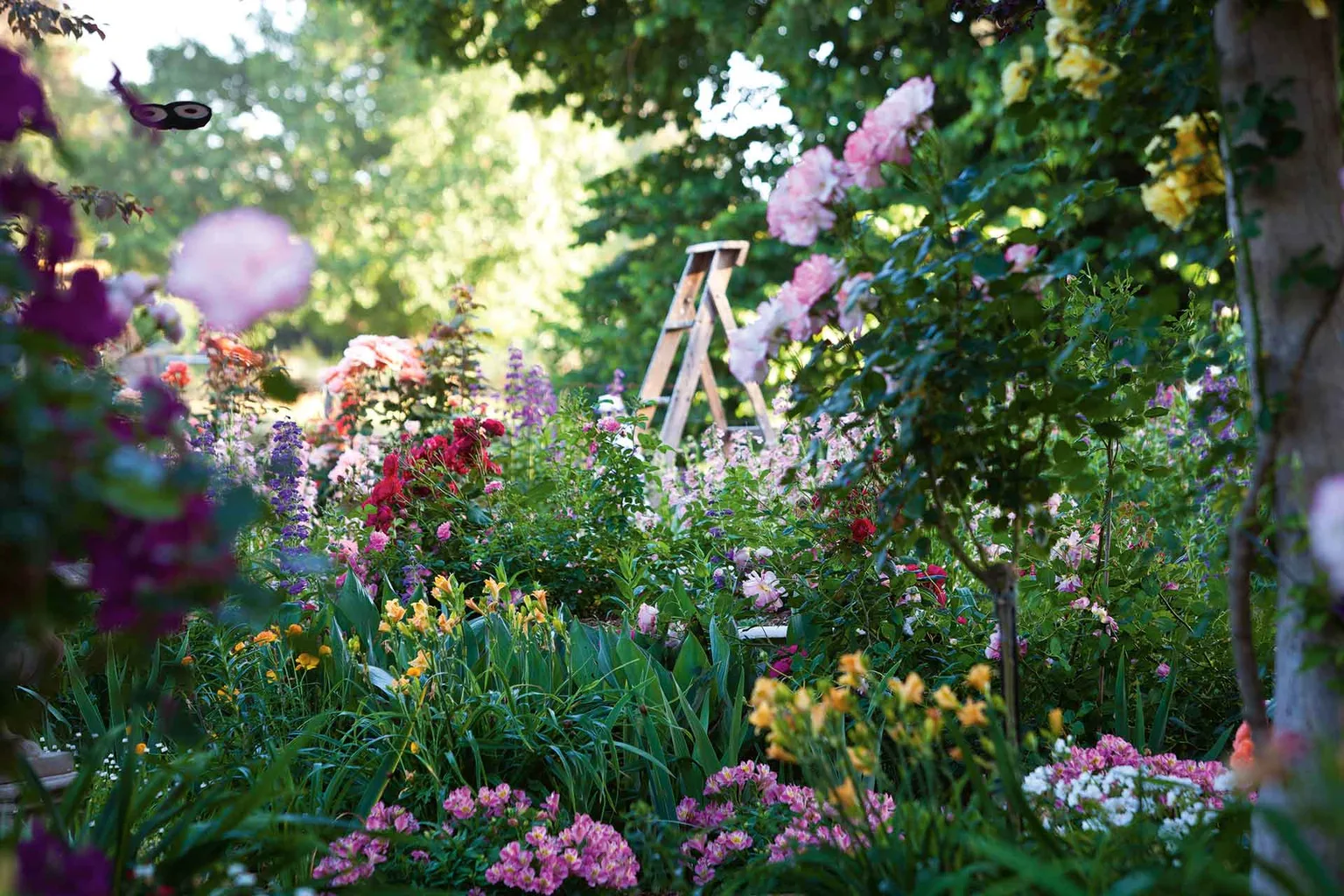 Australian rose garden: Inside Frosty Flats in Adelaide Hills | Homes ...
