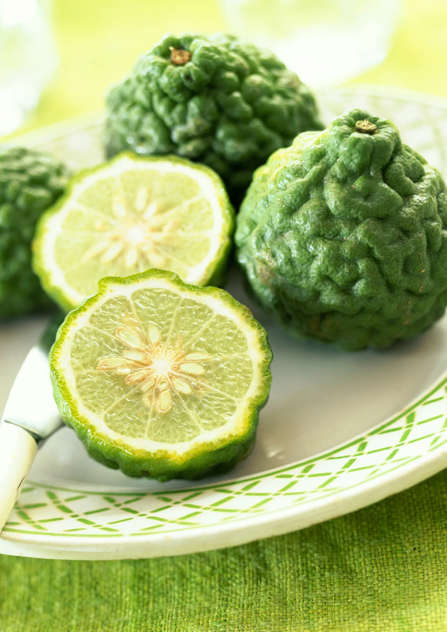 Growing kaffir limes: how to plant and nurture