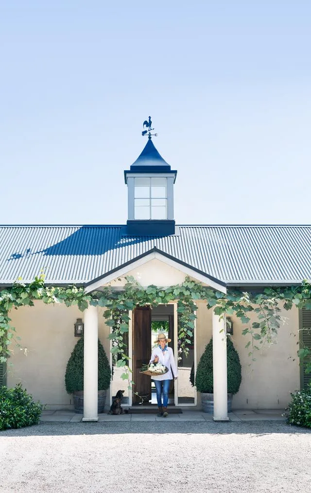 Grapevines: A Step-By-Step Guide On How To Grow