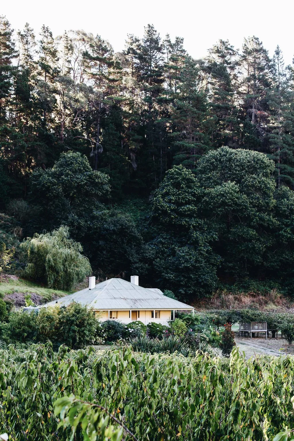 Julie Bishop's family farm in the Adelaide Hills