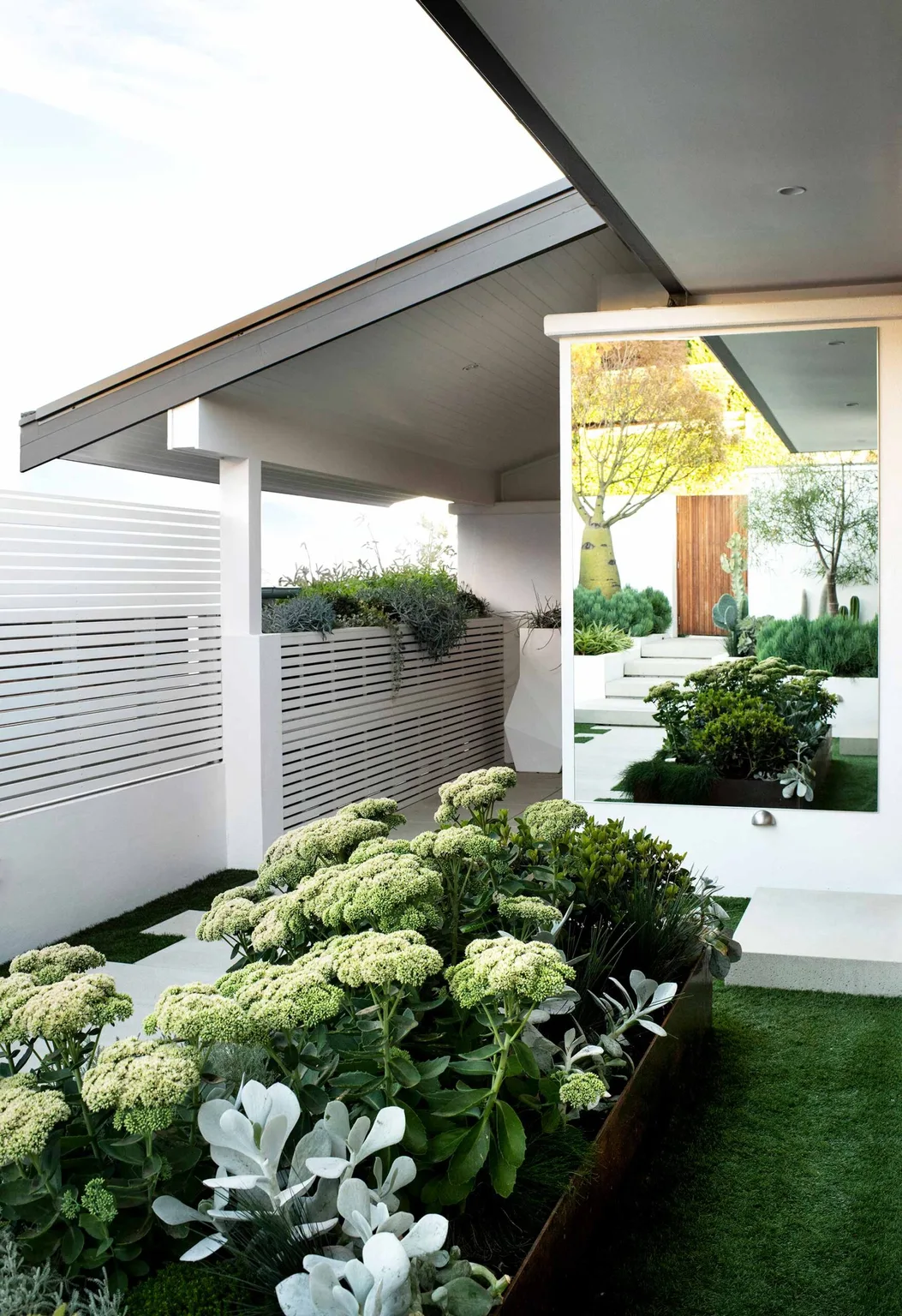 Sustainable Succulent Garden with Sculptural Drama | Homes To Love