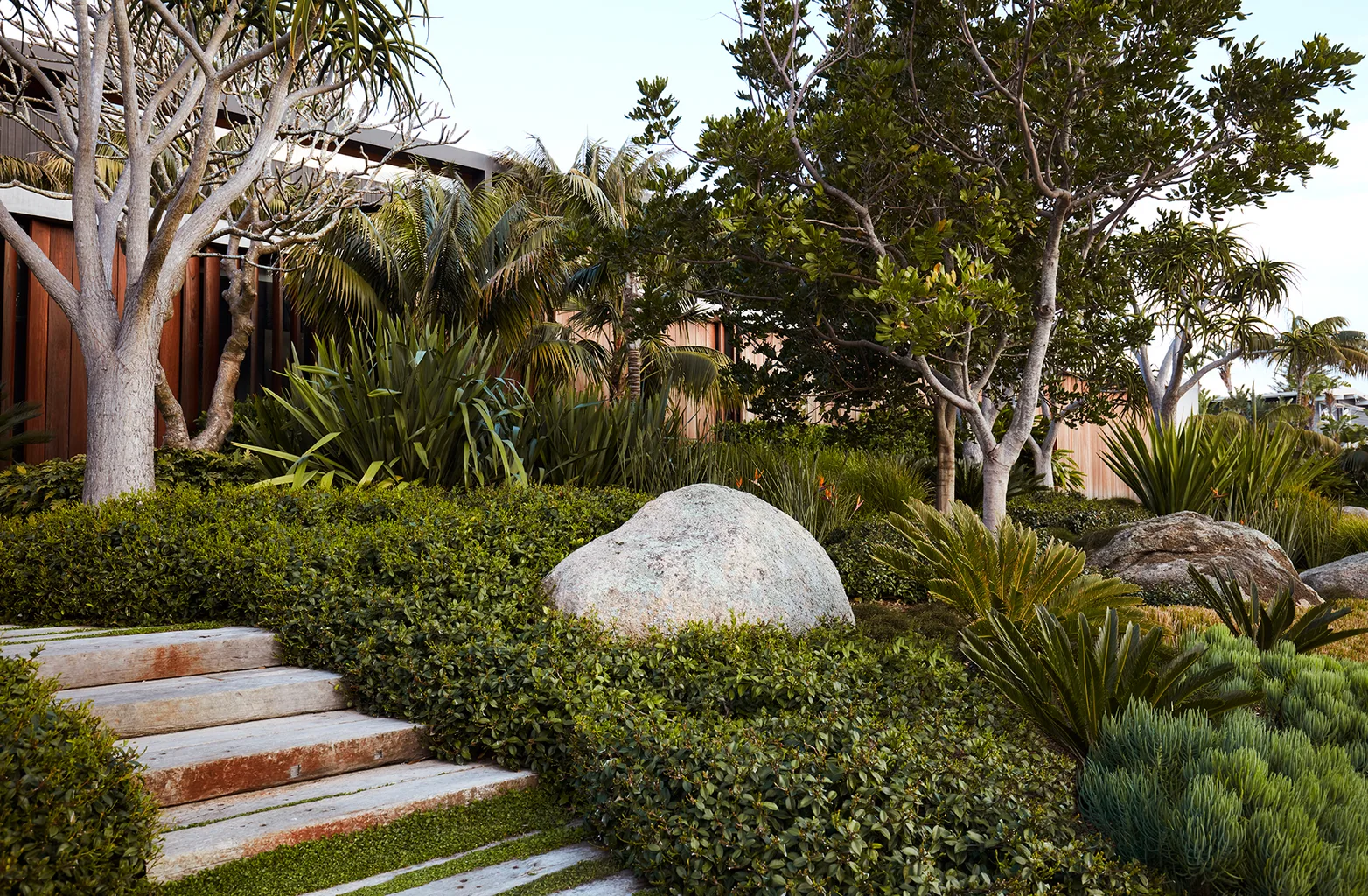 Native Garden Ideas: 15 Inspiring Australian Backyard Designs | Homes ...