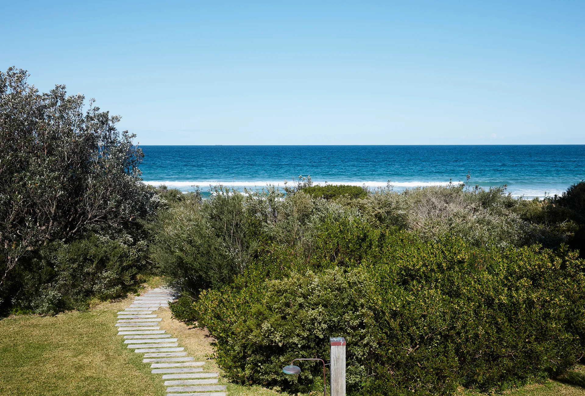 A robust coastal garden by William Dangar