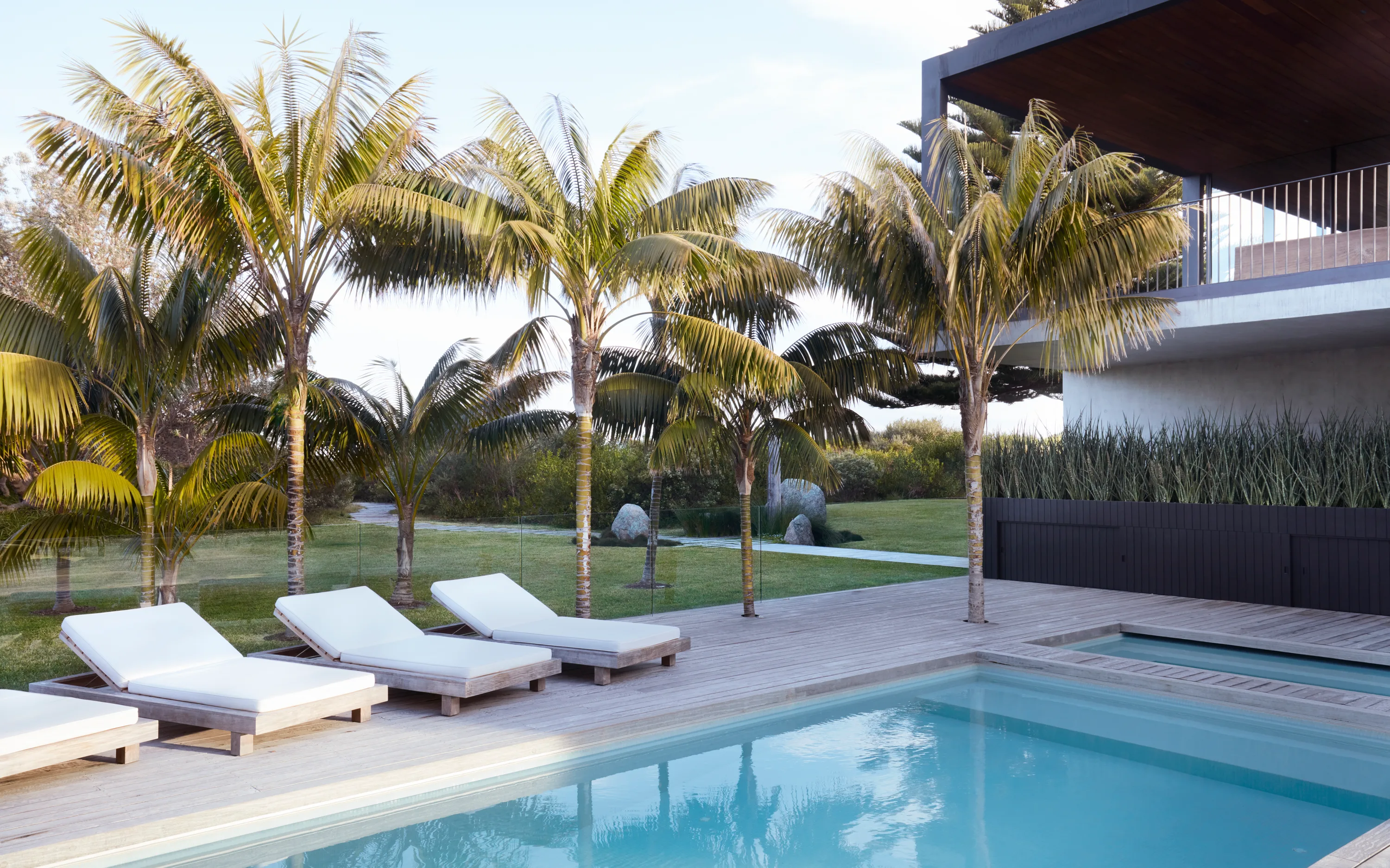 A robust coastal garden by William Dangar