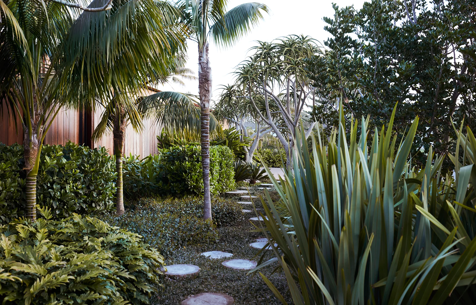 A robust coastal garden by William Dangar