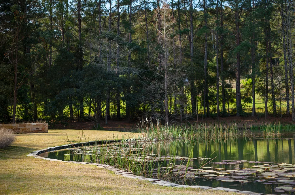 An expansive Central Coast with a pared-back aesthetic
