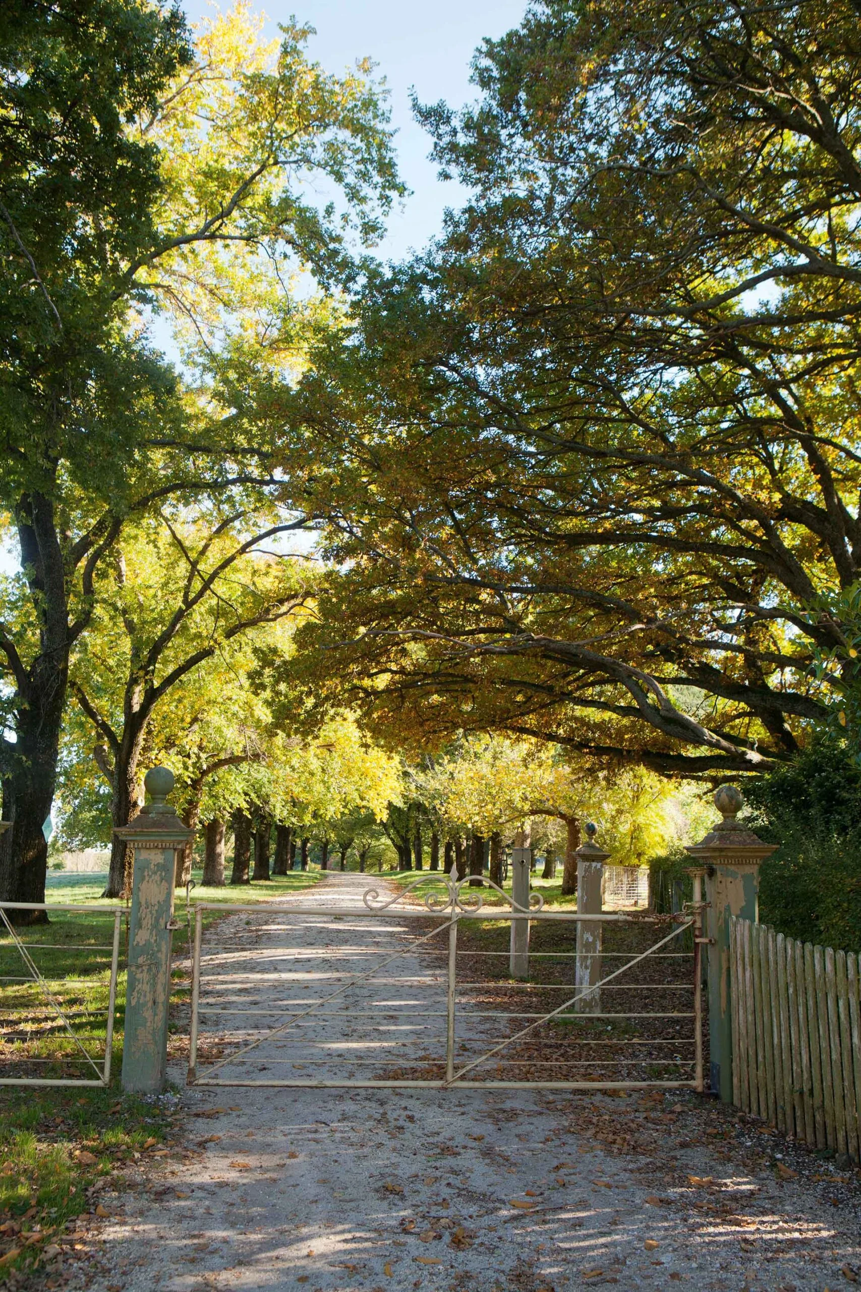 Wombat Park Daylesford, VIC: Tour the atmospheric garden