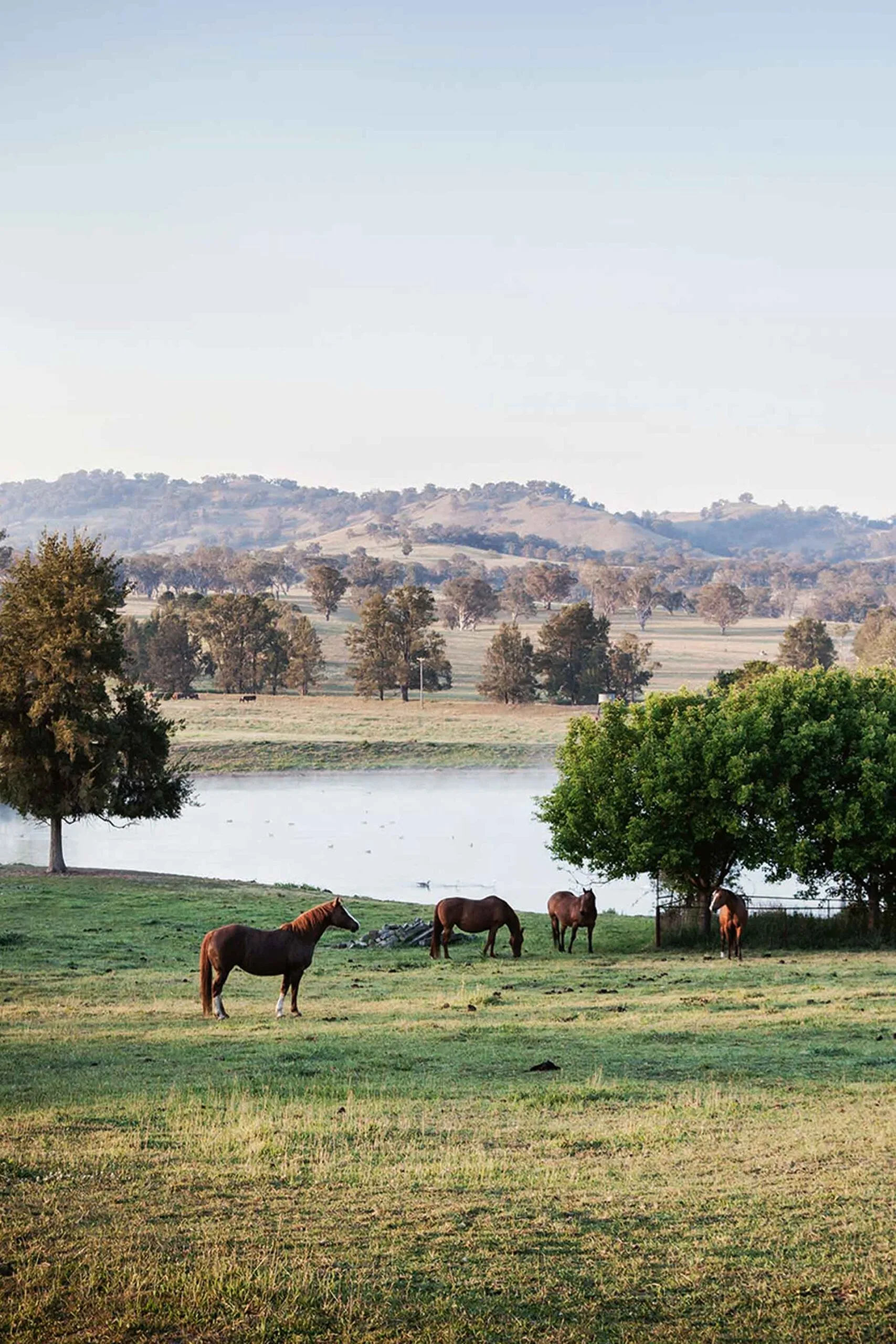 Farm garden landscaping ideas from Nundle, NSW