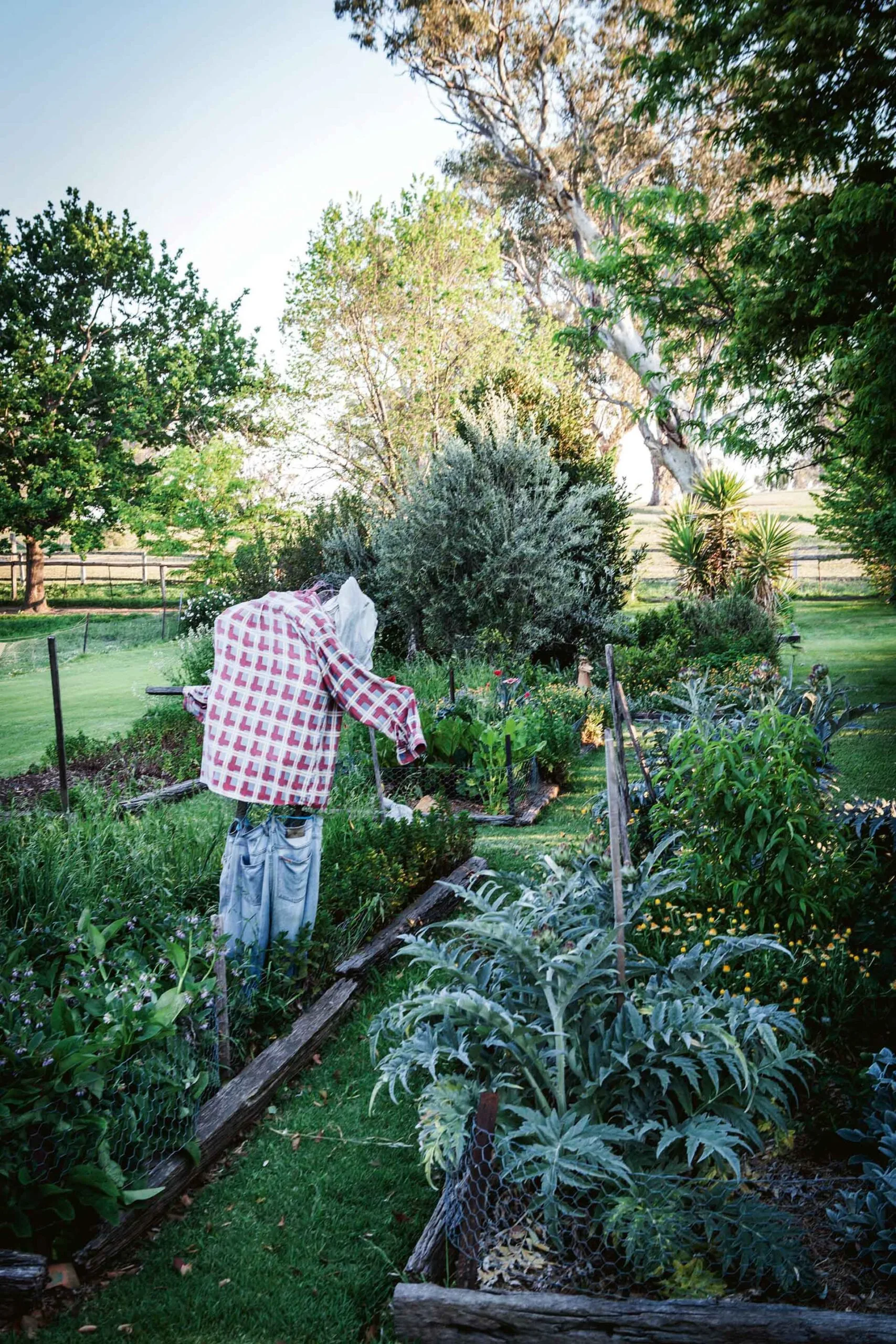 Farm garden landscaping ideas from Nundle, NSW