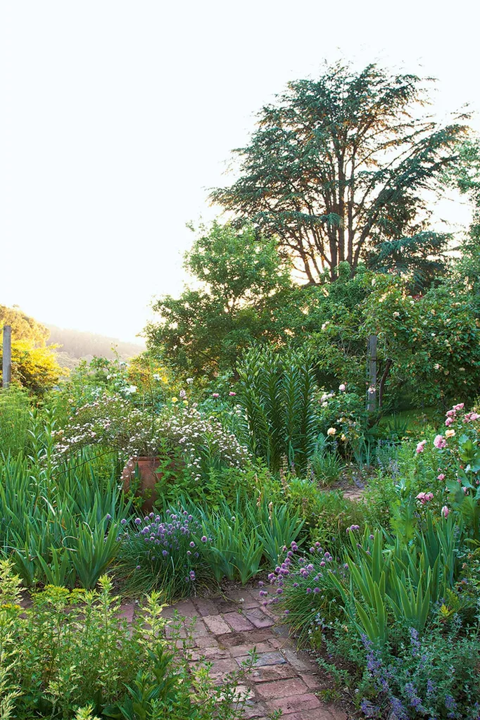 Natural Gardening Principles Shape This Adelaide Hills Landscape ...