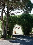 Garden arbour ideas: Design ideas from a romantic homestead