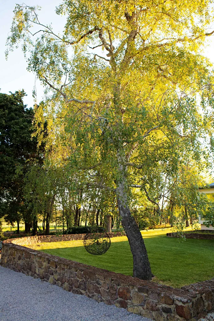Inside an 80-year-old garden designed by Edna Walling