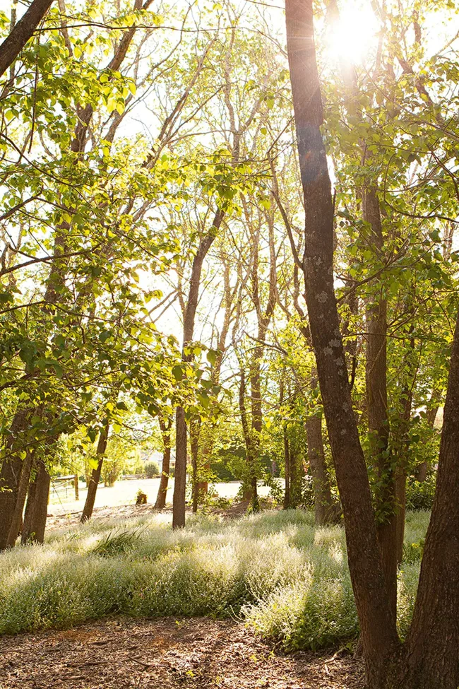 Inside an 80-year-old garden designed by Edna Walling
