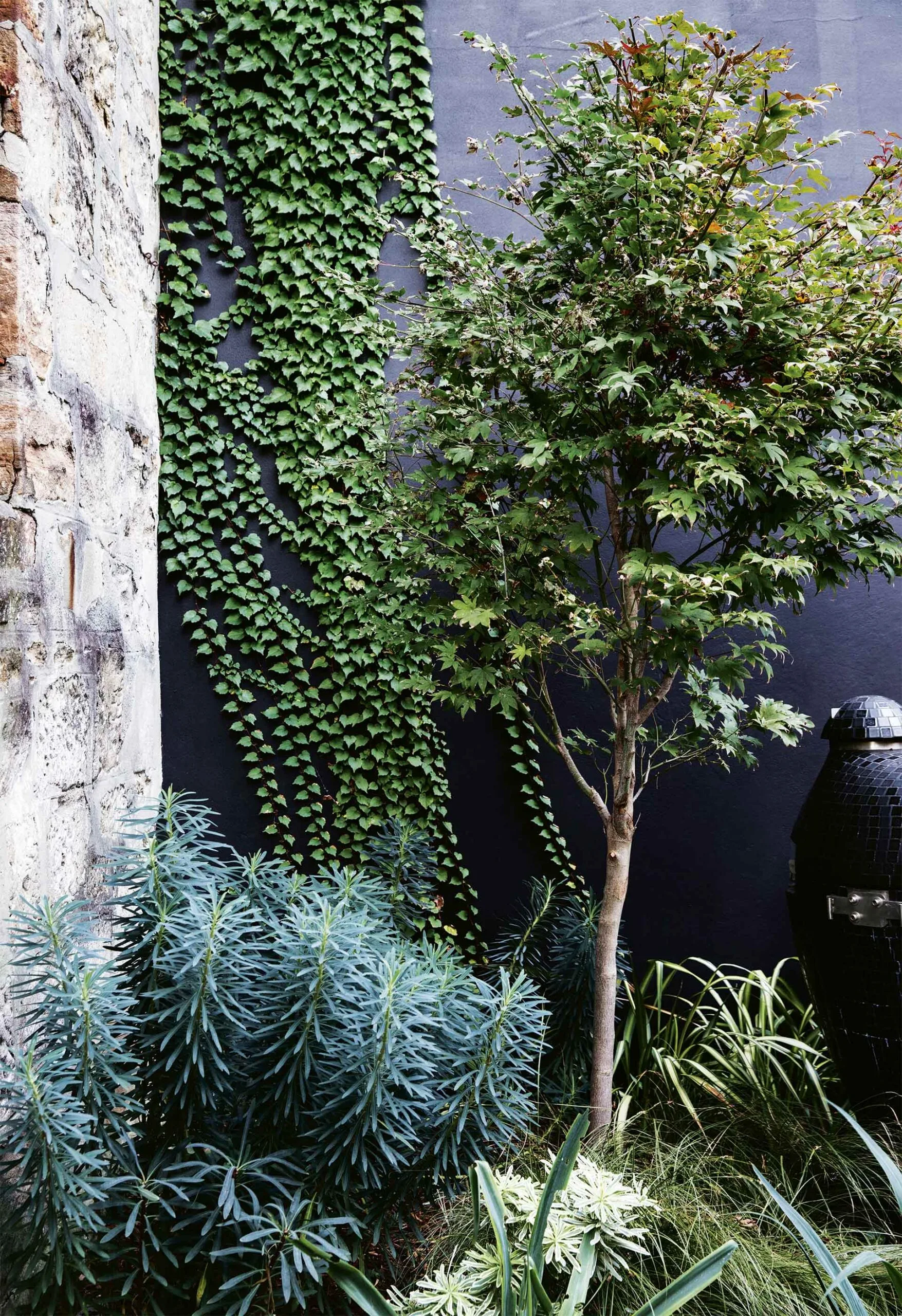 Chic Revamp of a Small Courtyard Garden in Surry Hills | Homes To Love