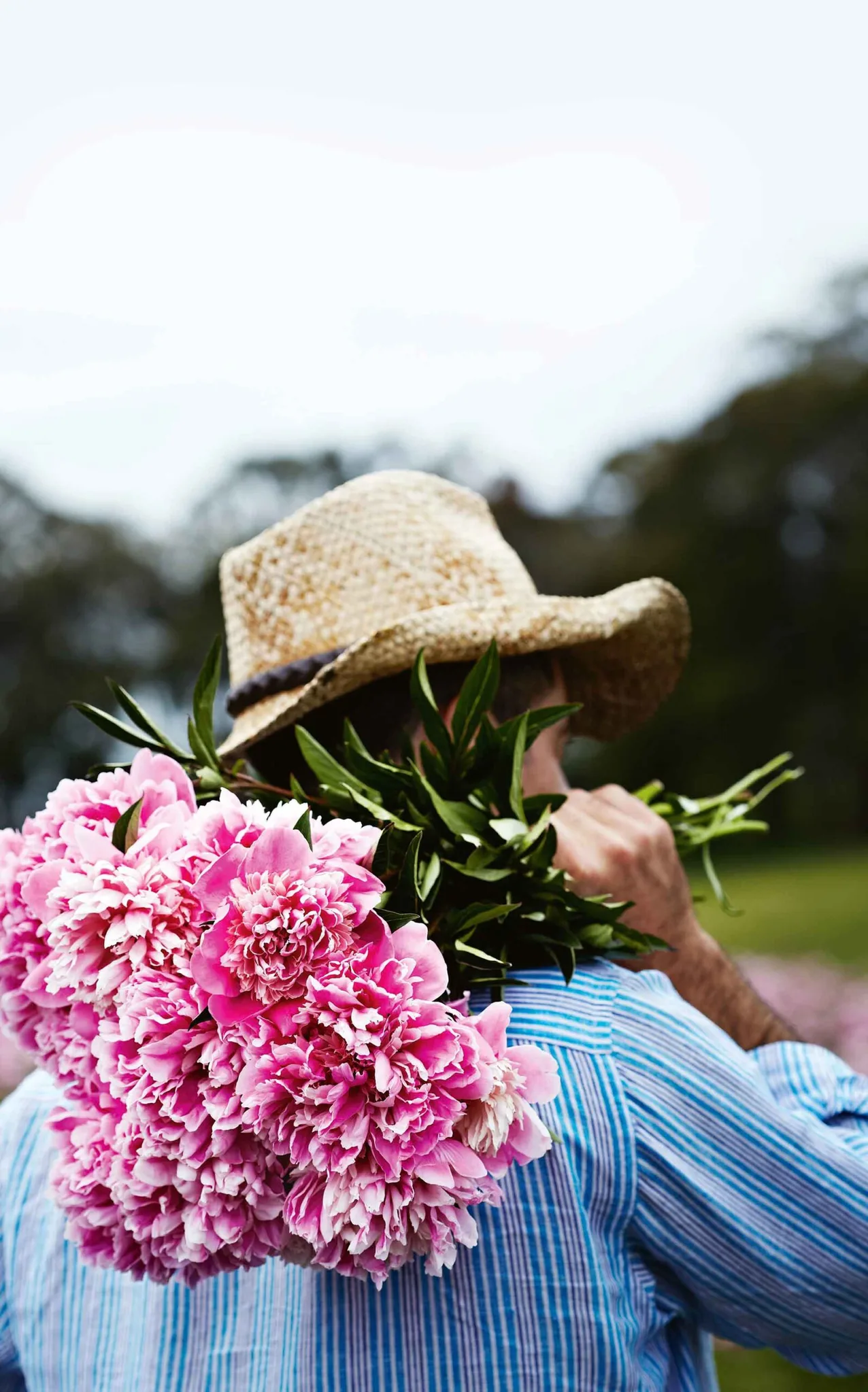 Pink Flowers: 10 Varieties To Grow In Your Garden | Homes To Love
