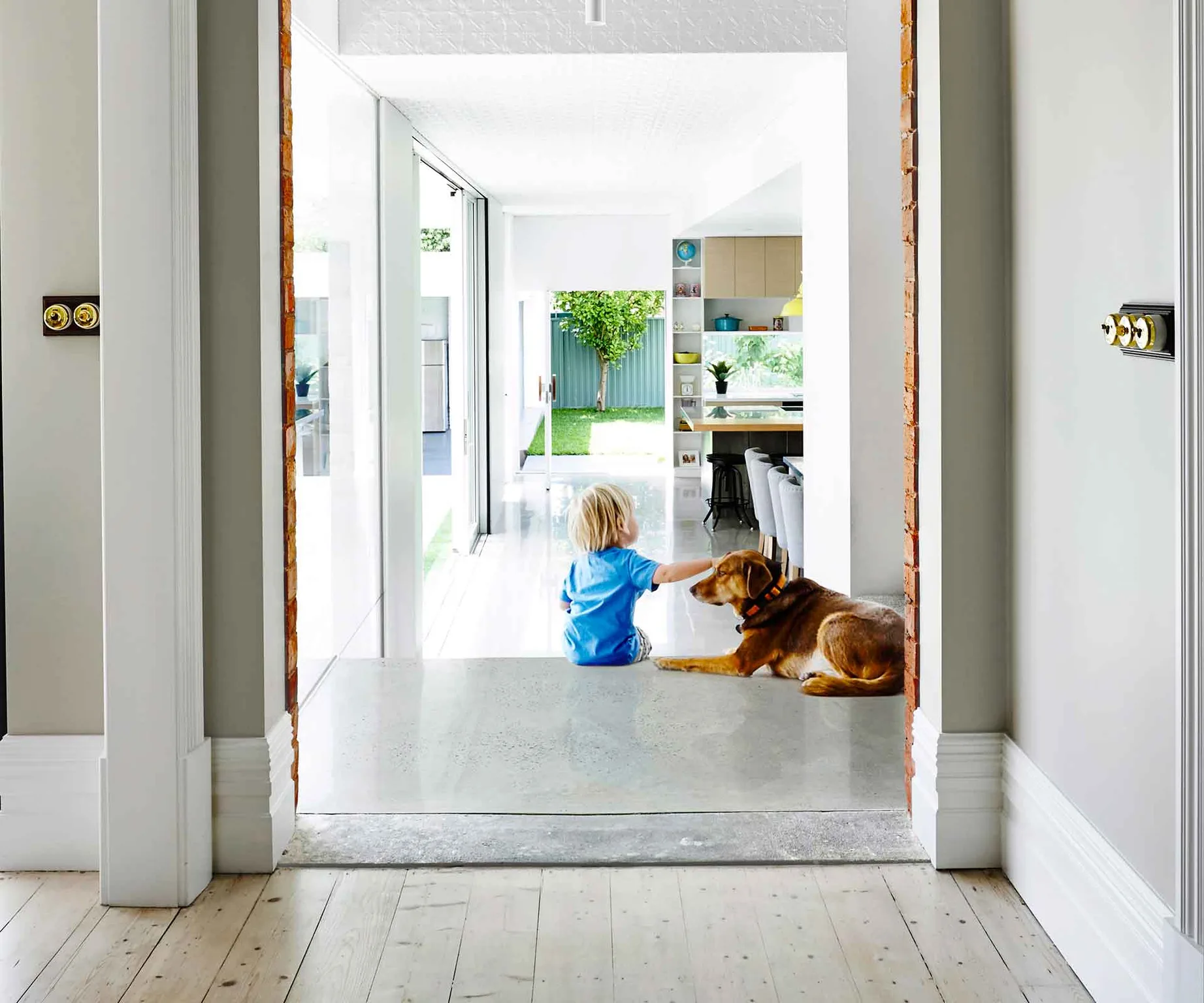 How To Pet-Proof Your Home In 7 Simple And Stylish Steps