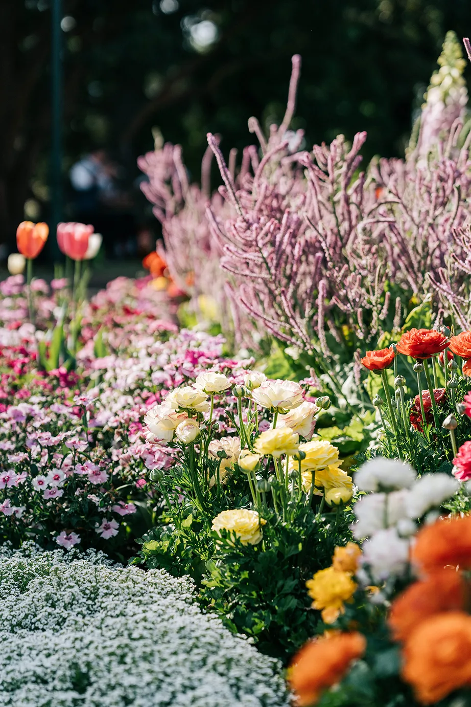Inside Toowoomba Carnival of Flowers with Marnie Hawson