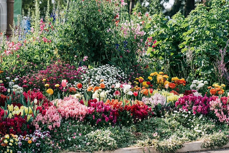 Inside Toowoomba Carnival of Flowers with Marnie Hawson