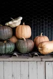 Pumpkin season in Australia & handy cooking tips