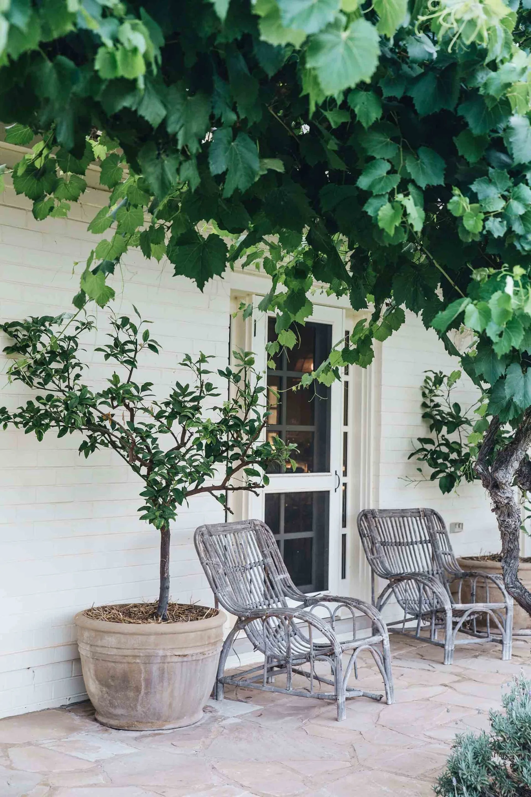 Tour the farmhouse of an award-winning grazier in Boorowa