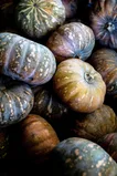 5 Types Of Pumpkin In Australia | Homes To Love