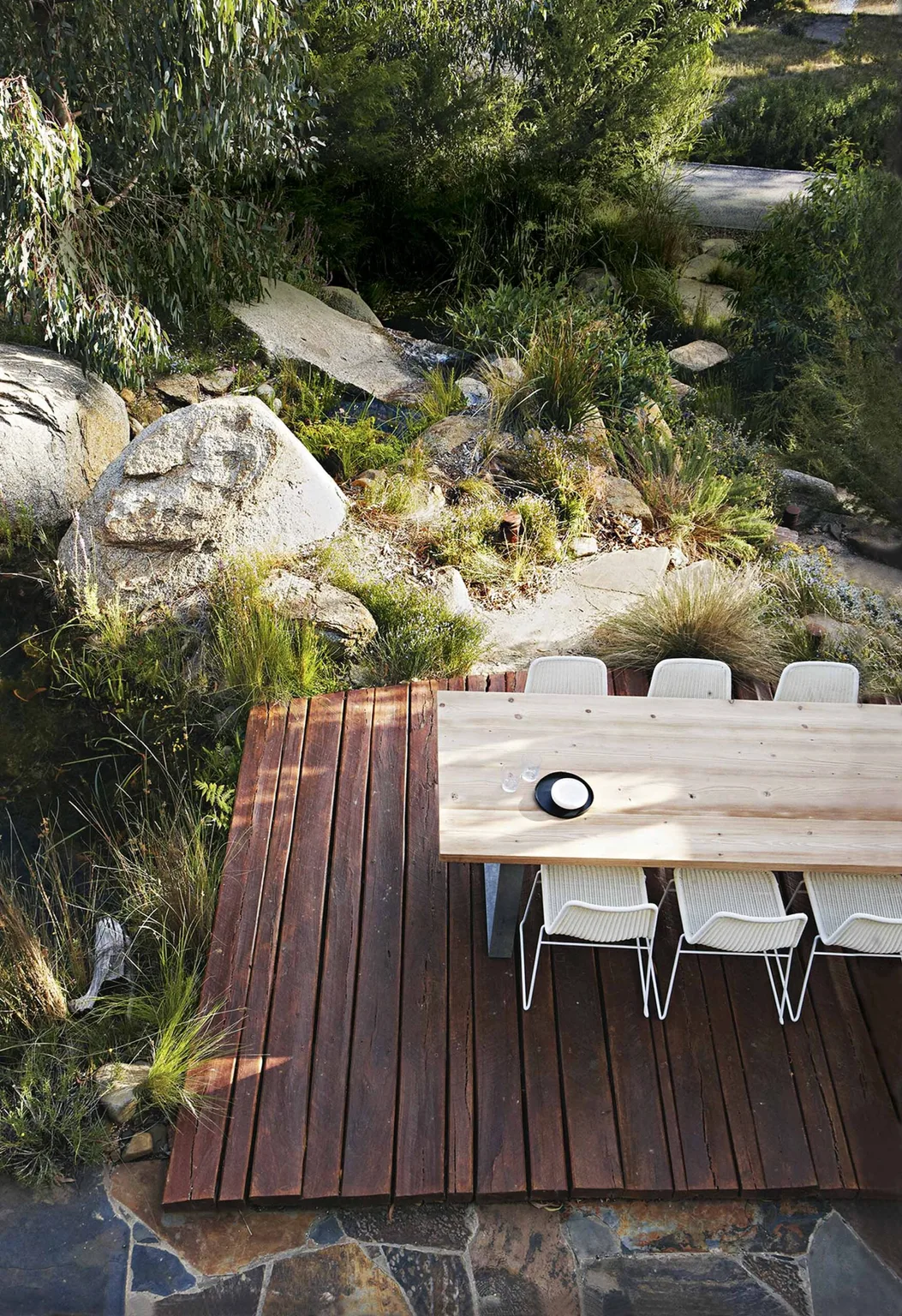 A native bushland garden in the heart of Melbourne