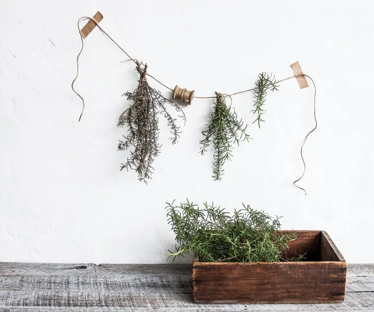 How to dry rosemary naturally and in the oven
