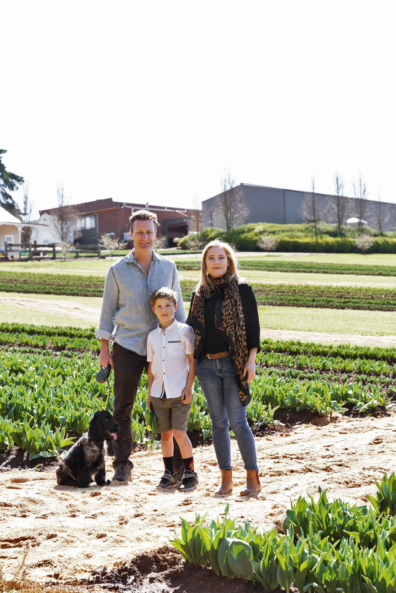 Tour the Tesselaar flower farm in Silvan, Victoria