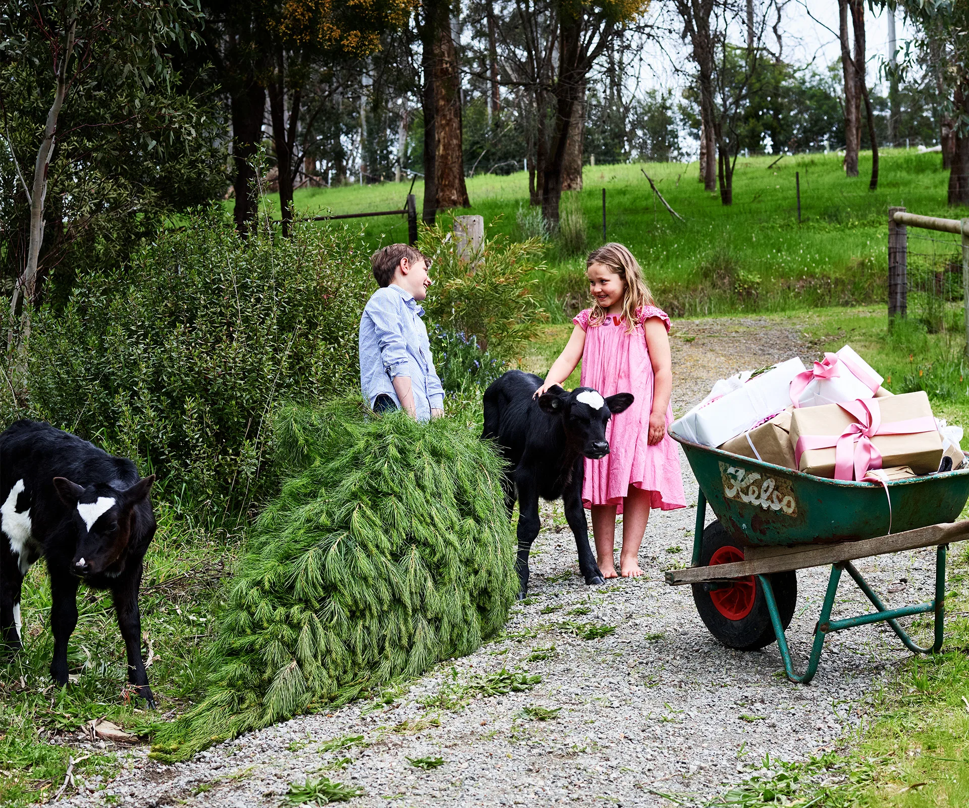 Christmas at Nether Hill Farm, in Kenton Valley