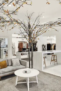 Birdsnest Founder Jane Cay: A Champion of Regional Business | Homes To Love