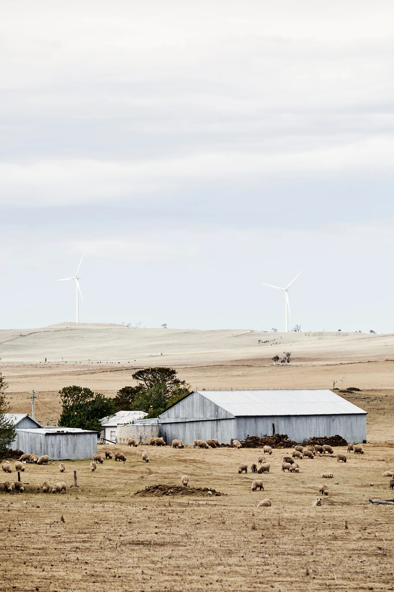 Birdsnest Founder Jane Cay: A Champion of Regional Business | Homes To Love