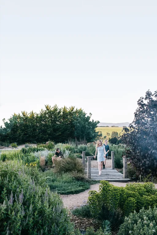 Native Garden Ideas: 11 Inspiring Designs | Homes To Love