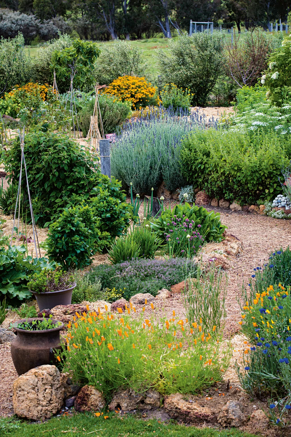 Flower bed design ideas: 8 examples to inspire