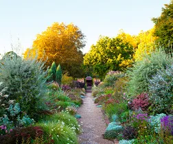 Gardening Editor’s Tips for a Diverse Garden | Homes To Love