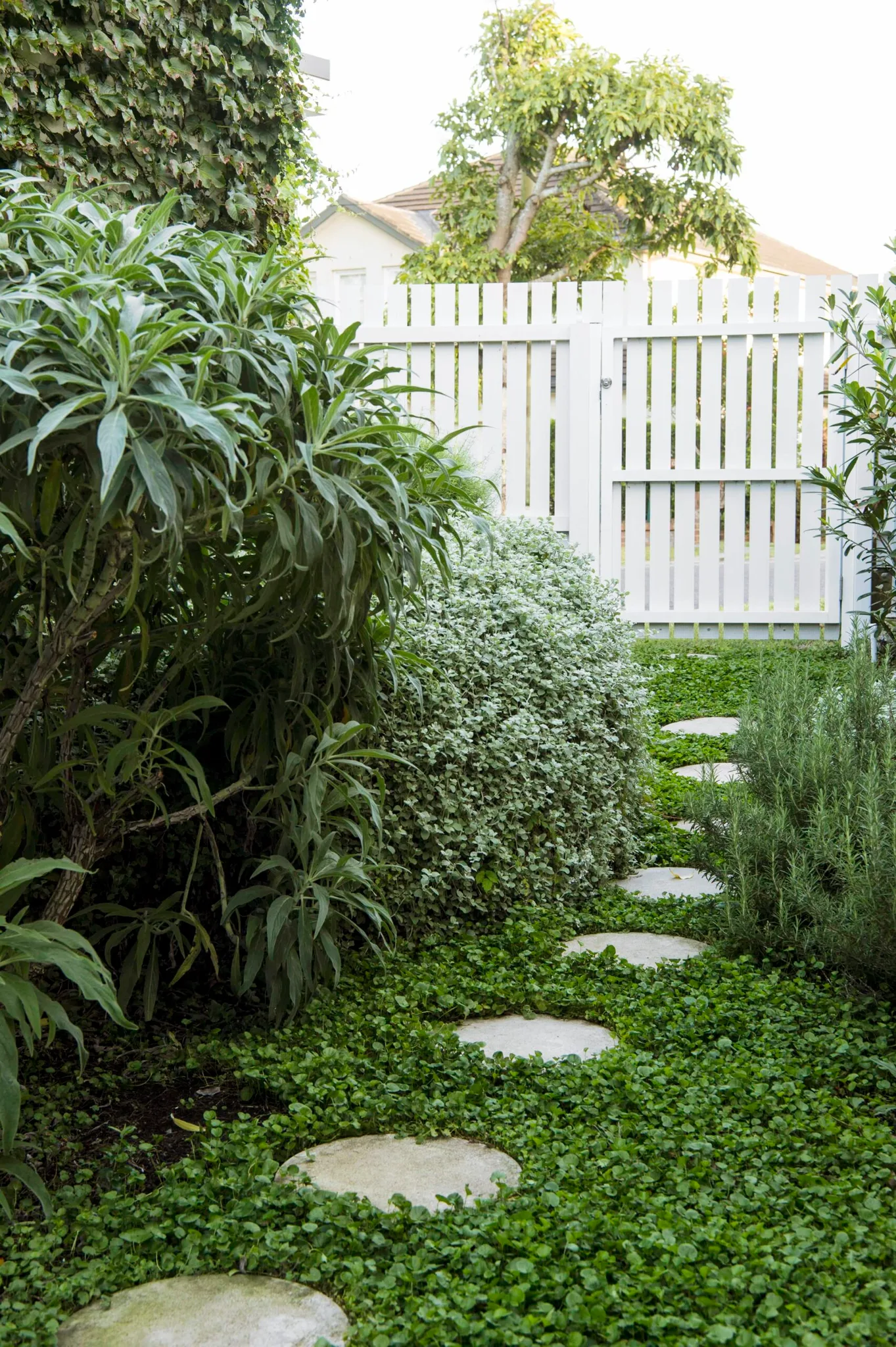 13 compact landscape design ideas