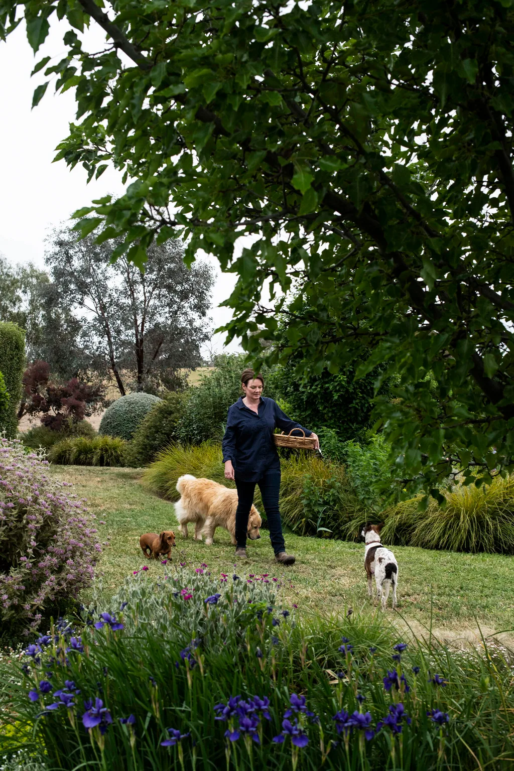 Rural NSW garden blends formal and natural elements | Homes To Love