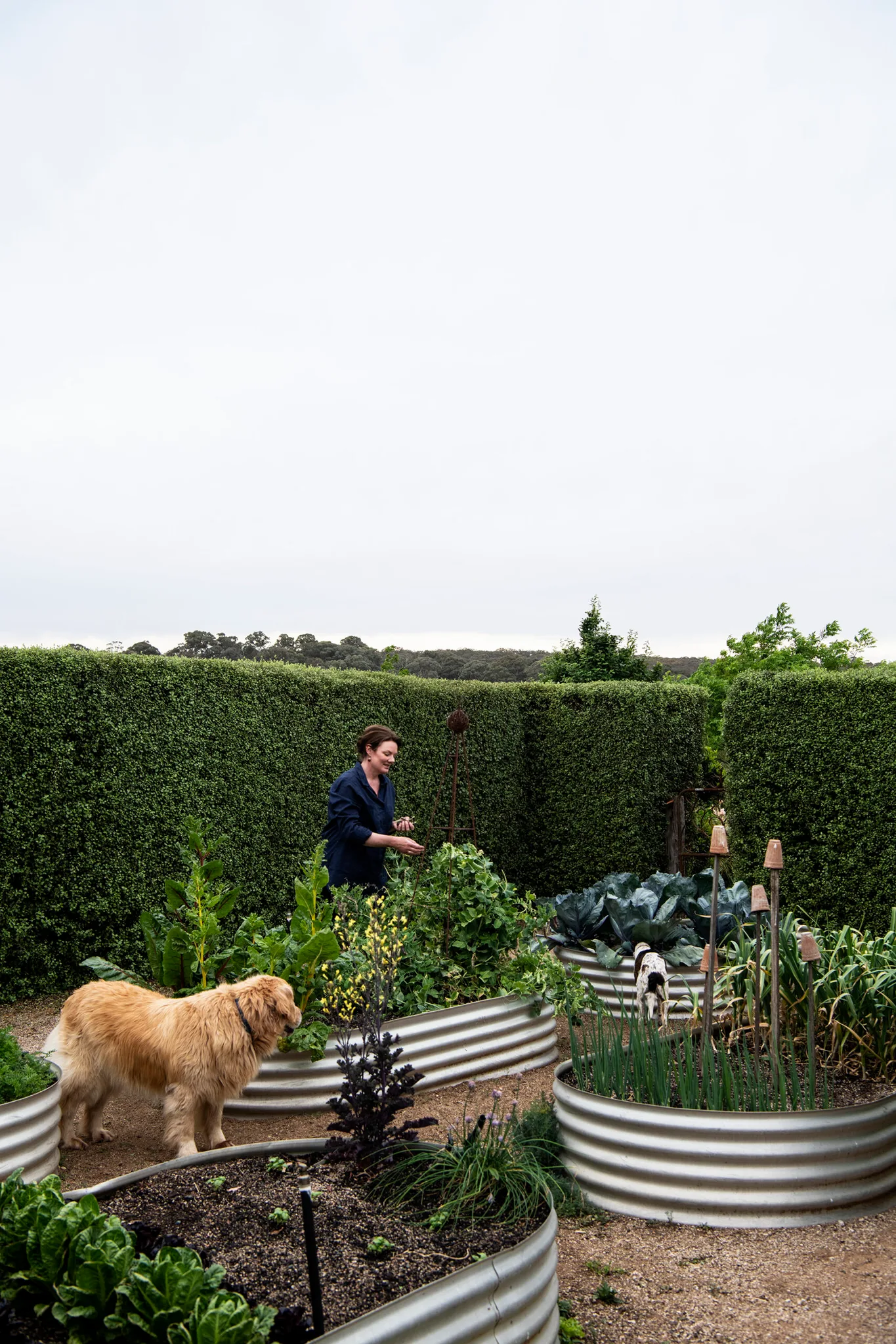 Starting a successful community garden: A how-to guide