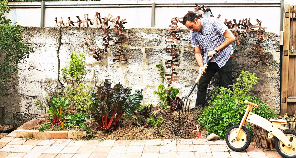 Bunnings DIY Live Tutorials to Make Home Projects Productive | Homes To ...