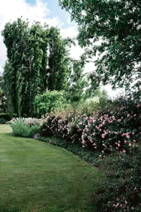 16 of Australia's most beautiful gardens